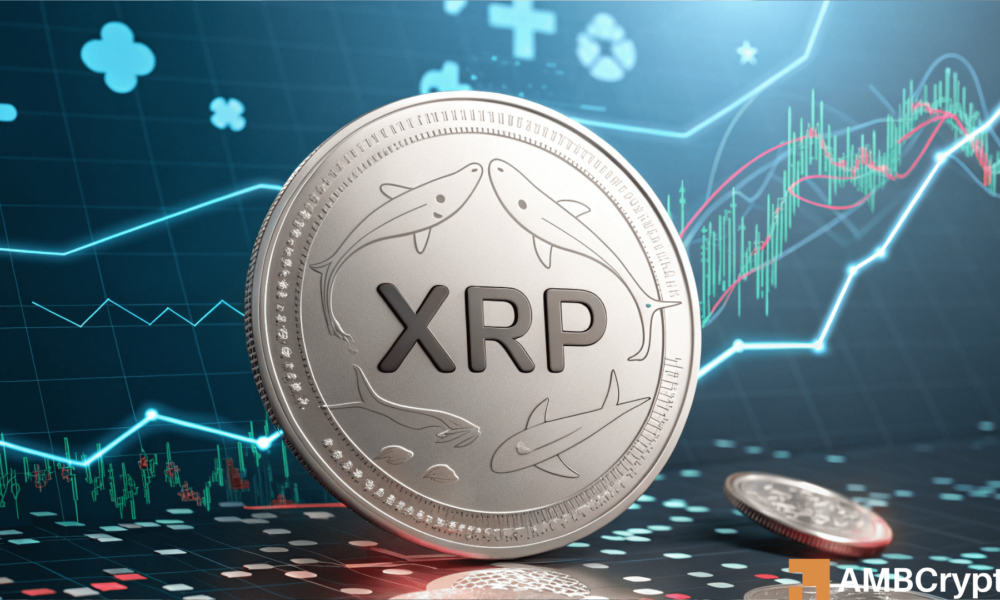 一文读懂CEEX交易所的MeMe平台币——CMC - 币界网